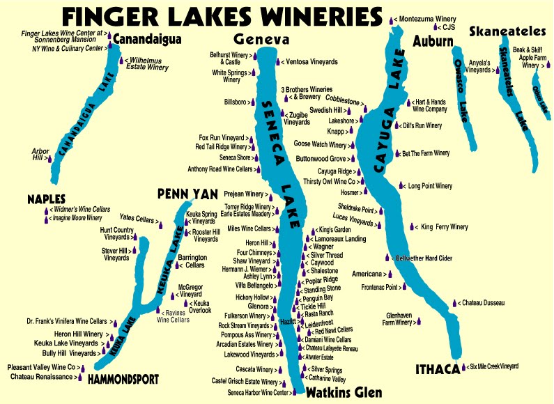 Exploring The Finger Lakes Wine Region Betty S Wine Musings